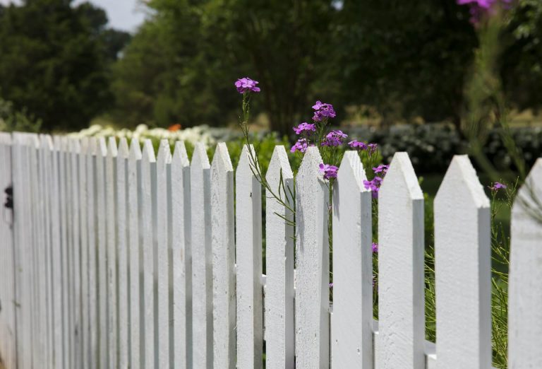 Best Time to Paint Fence - UK Step-by-step Guide - Timberstore Ltd